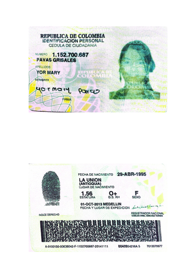 02 Cedula Yor Mari | PDF