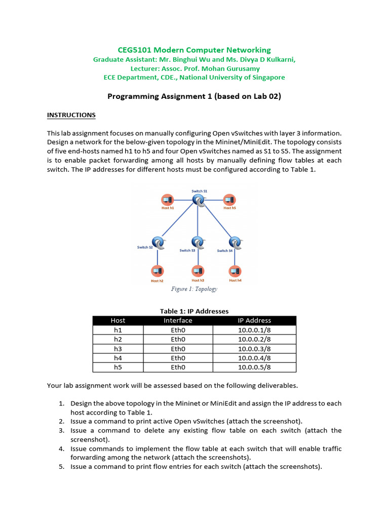 CEG5101-Programming-Assignment 1 | PDF CEG5101-Programming-Assignment 1 | PDF