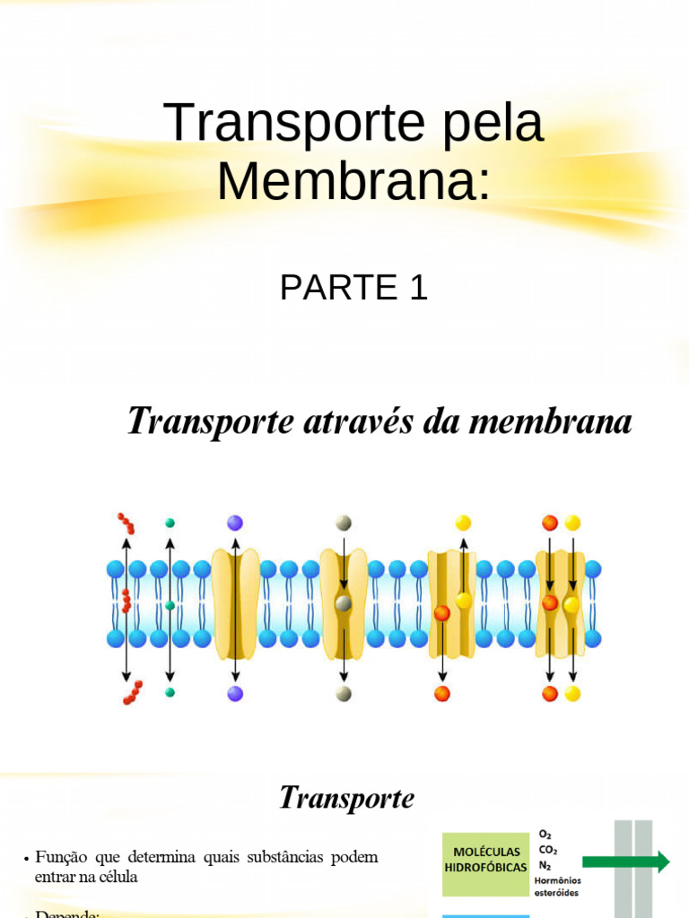 Transporte Através Da Membrana | PDF | Osmose | Potencial elétrico de membrana