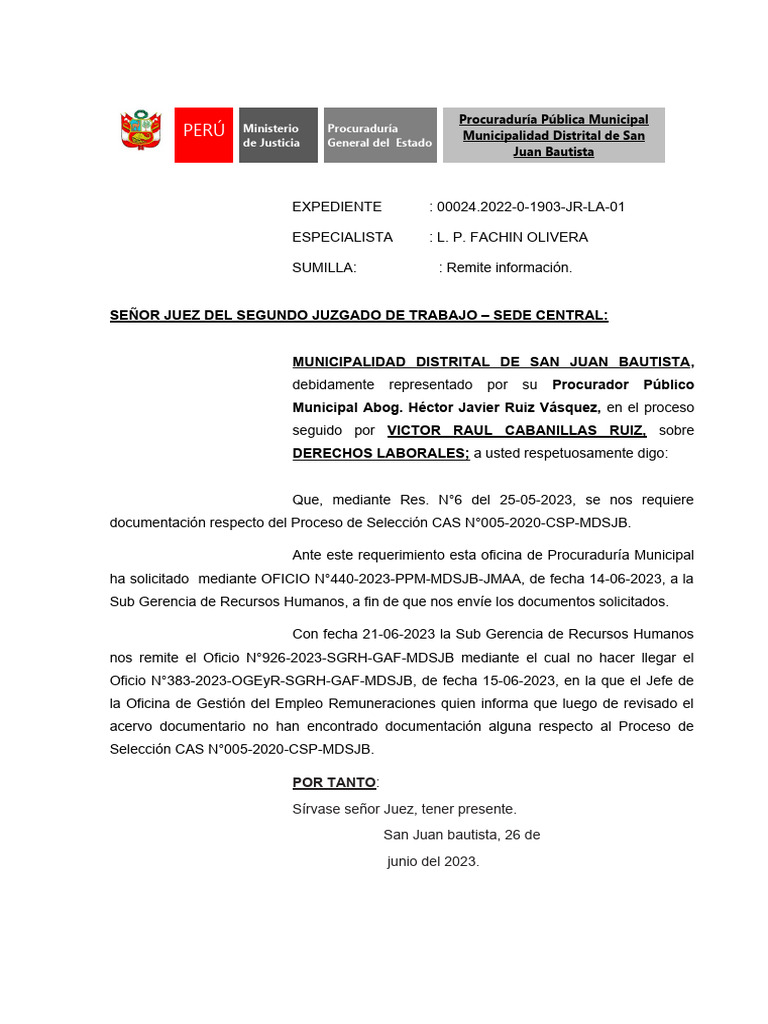 Remite Informacion | PDF