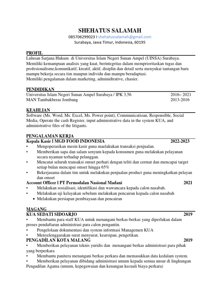 CV Lengkap Sheha | PDF