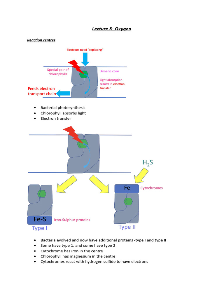 Lecture 3 - Oxygen | PDF | Oxygen | Redox Lecture 3 - Oxygen | PDF | Oxygen | Redox