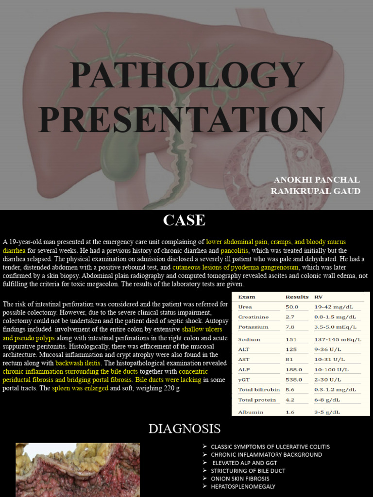 Pathology Presentation Sem 6 | PDF | Ulcerative Colitis | Digestive System