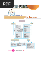 Class 10 Science Chapter 5 - Life Processes | PDF | Nutrition | Diet & Nutrition