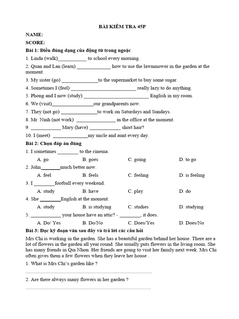 Bài Kiểm Tra 45p | PDF