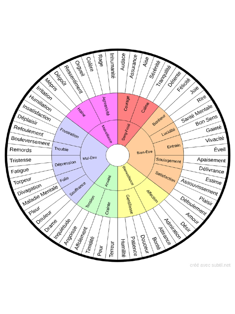 Roue Des Émotions | PDF