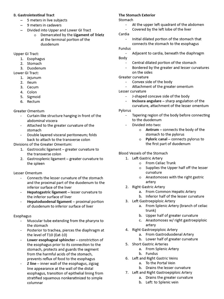 Anatomy GI Tract | PDF | Stomach | Large Intestine