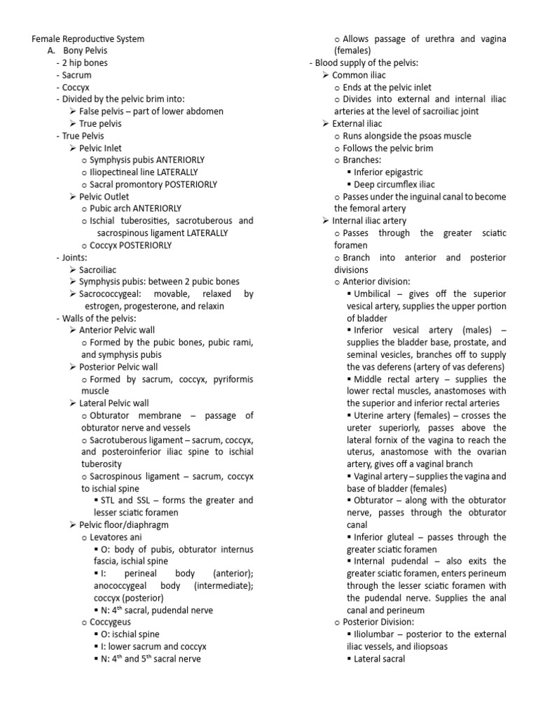 Female Reproductive System | PDF