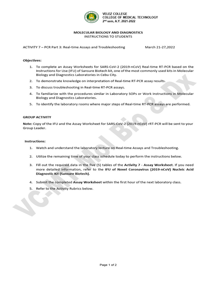 MolBio Lab Activity 7 PCR 3 Rubrics and Instructions | PDF