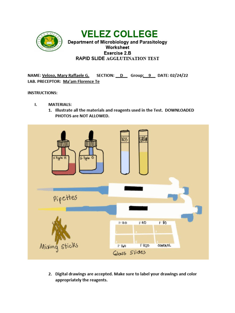 Ex. 2B Worksheet | PDF