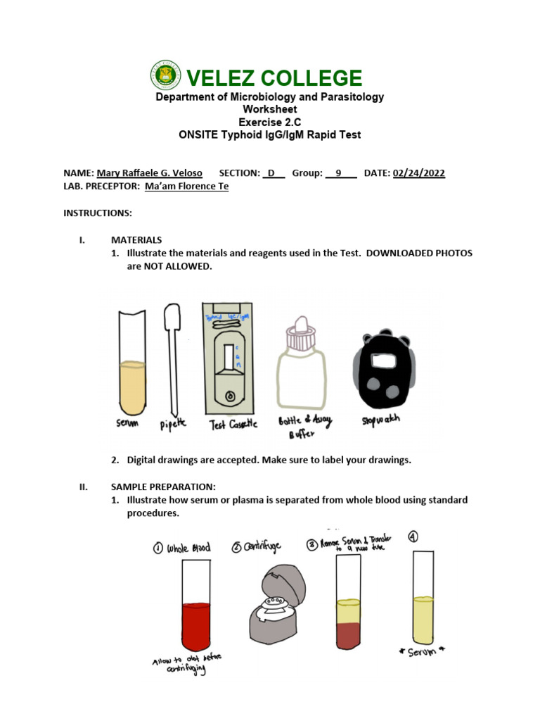 Ex.2C Worksheet 1 | PDF