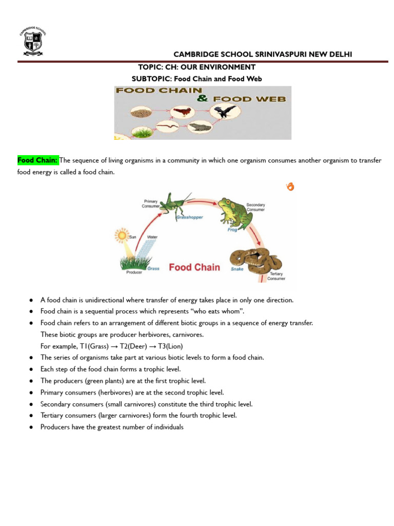 Our Environment-Handout 2 | PDF | Food Web | Environmental Science