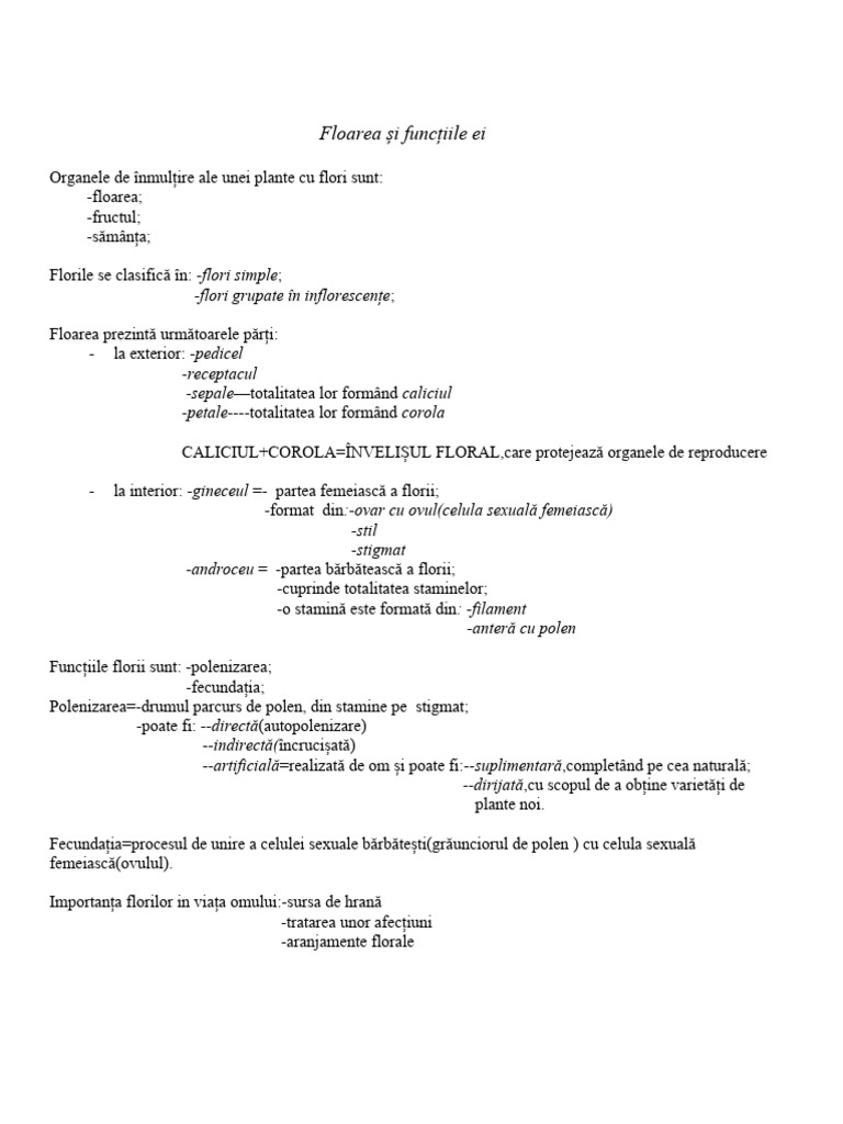 Schema Lectiei Pe Tabla Ok | PDF