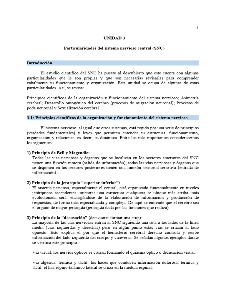 3 Particularidades Del SNC | PDF | Neurona | Hemisferio cerebral