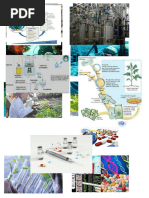 Ineffective Tissue Perfusion Nursing Care Plan | PDF | Heart | Angiology