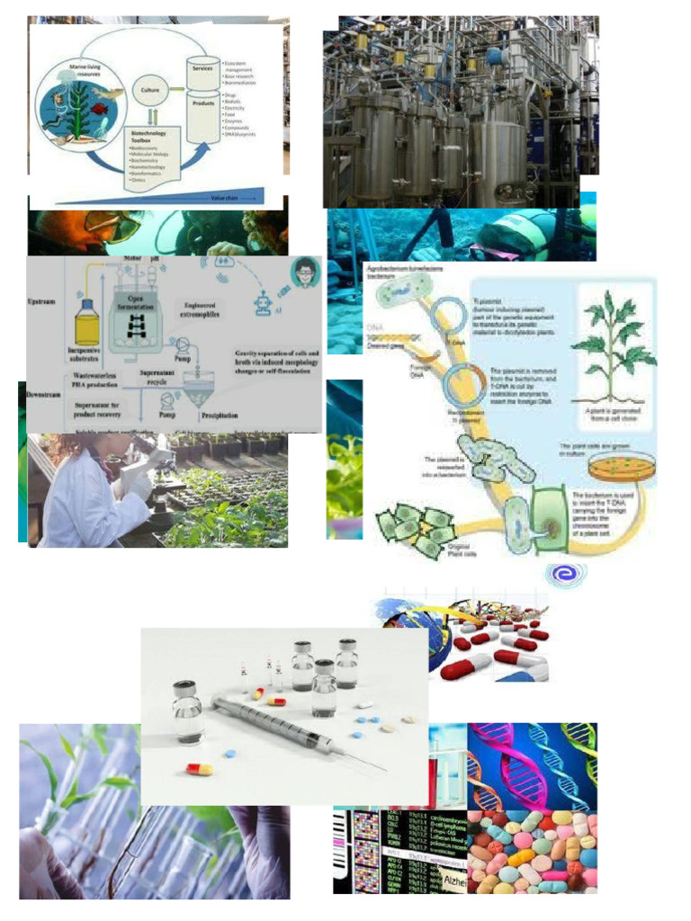 Industrial Applications of Biotechnology | PDF | Biotechnology | Biology