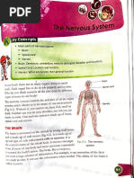 01 - Human Brain _ Labeling diagrams_Parts & Functions_Fill in the ...
