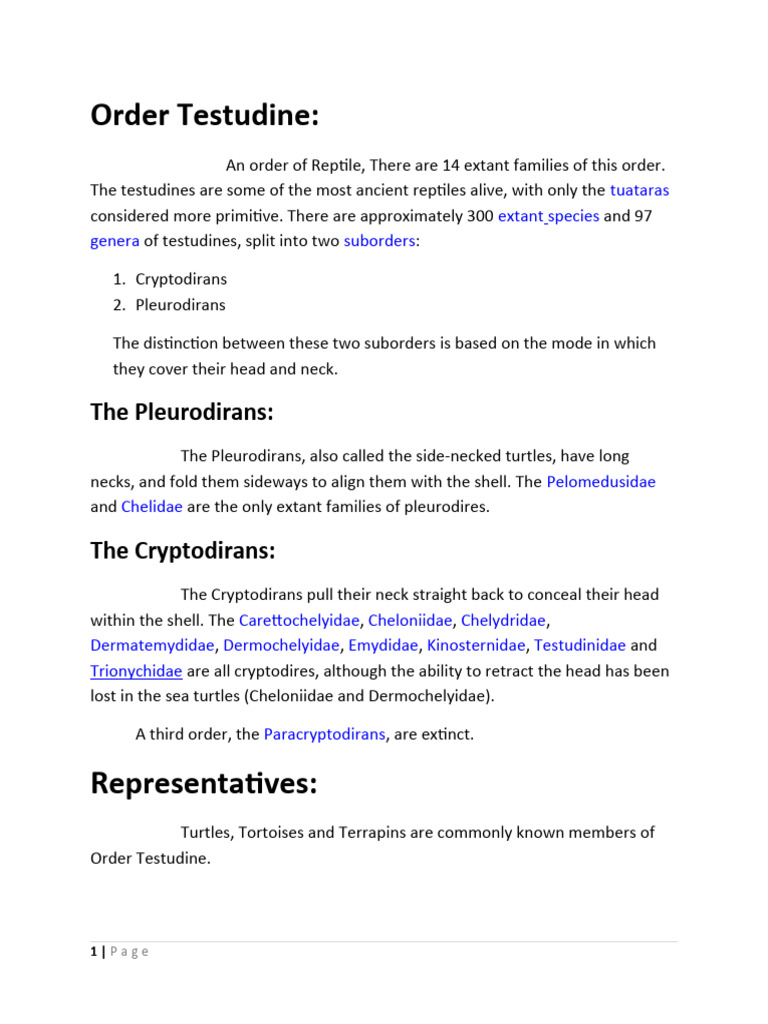Order Testudine | PDF | Turtle | Herpetology