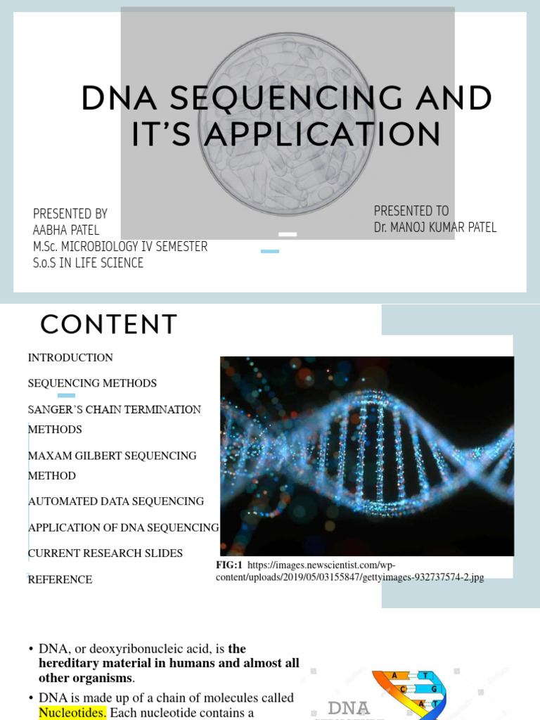 Dna Sequencing (Aabha Patel) | PDF