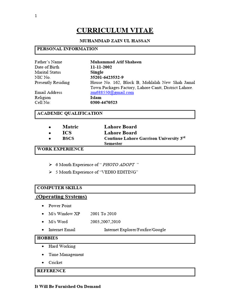 Muhammad Zain Ul Hassan | PDF