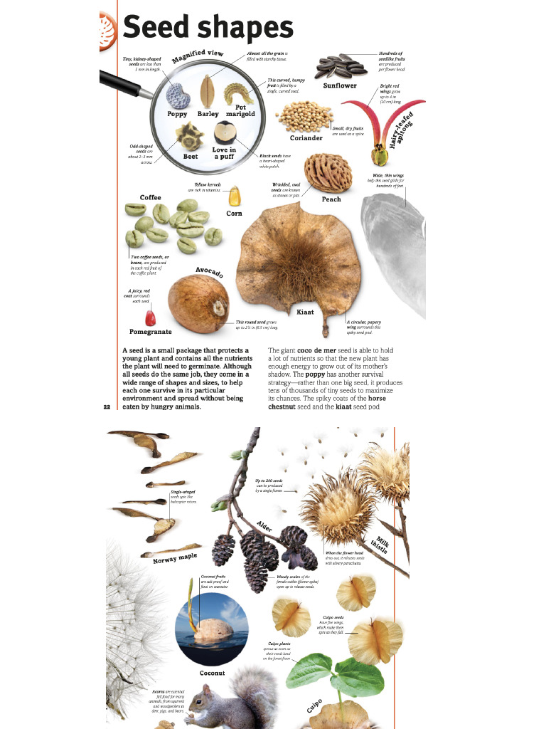 Smithsonian Book | PDF