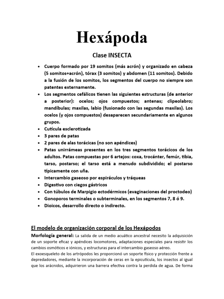 Hexápoda (Insectos) | PDF | Insectos | Hexapoda