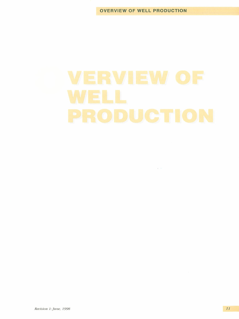 Well Production | PDF