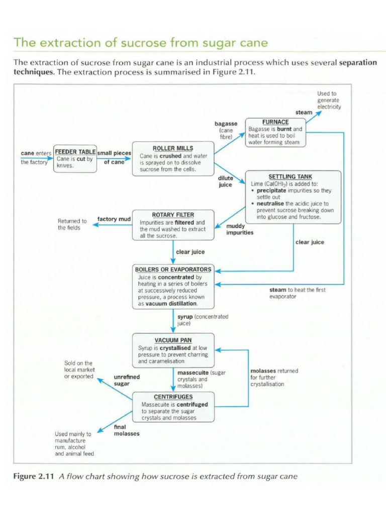 Extraction of Sugar Cane | PDF
