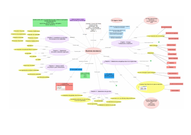 Biochimie Microbienne Carte Conceptuelle | PDF