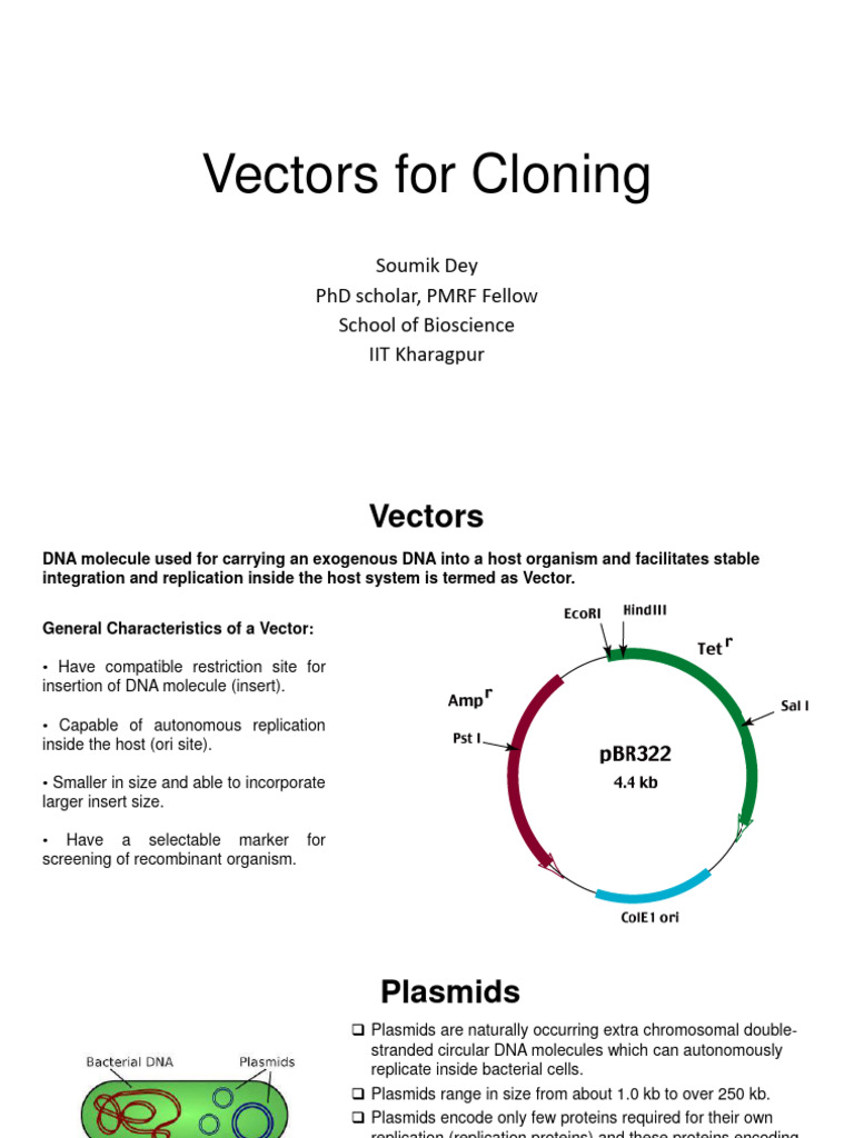 Lecture 6 - Vectors | PDF | Vector (Molecular Biology) | Plasmid