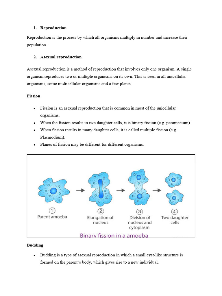 How Do Organisms Reproduce | PDF