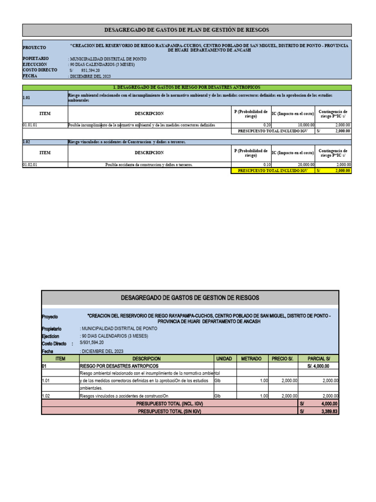 Desag. Plan de Gest. de Riesgos | PDF | Presupuesto | Sector privado