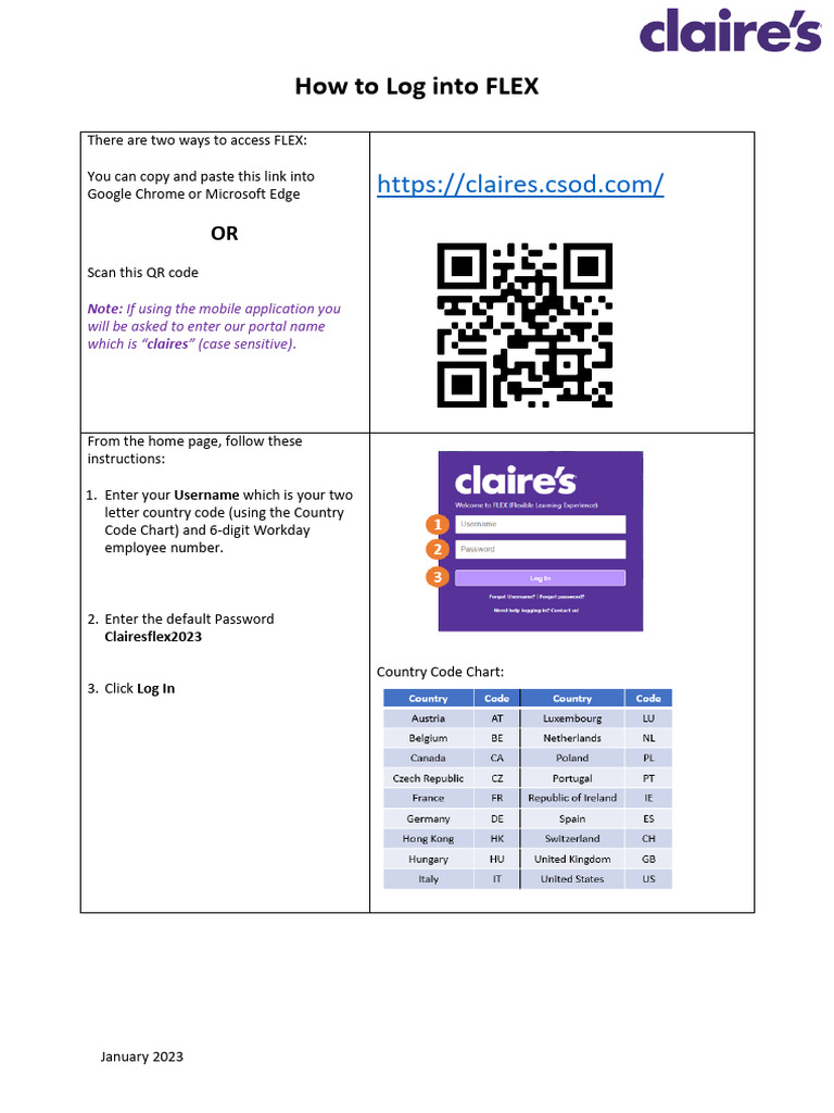 FLEX Login Instructions for Employees | PDF