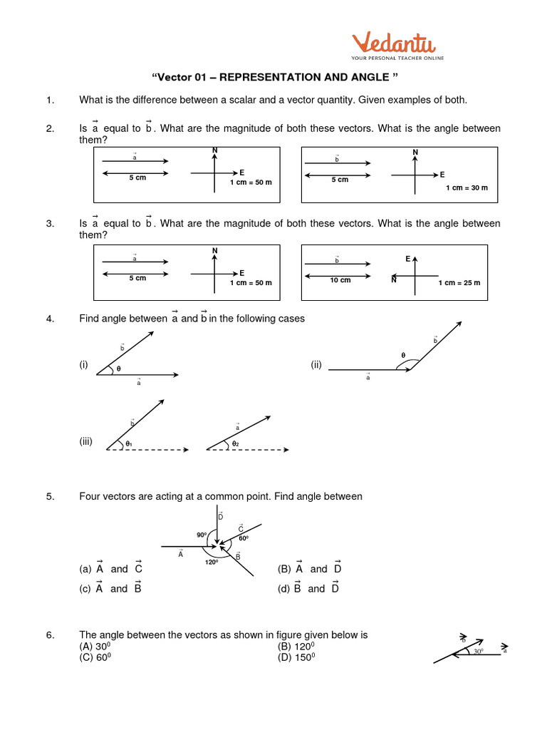 Vector 1 - Reprsesentation and Angle - Reviewed | PDF | Euclidean Vector | Motion (Physics)