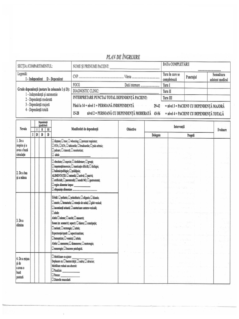 Plan de Ingrijire | PDF