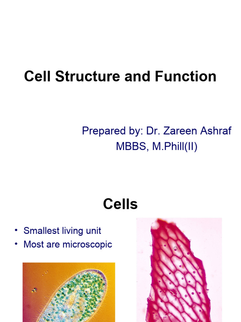 Cell Structure | PDF | Cell (Biology) | Cell Membrane