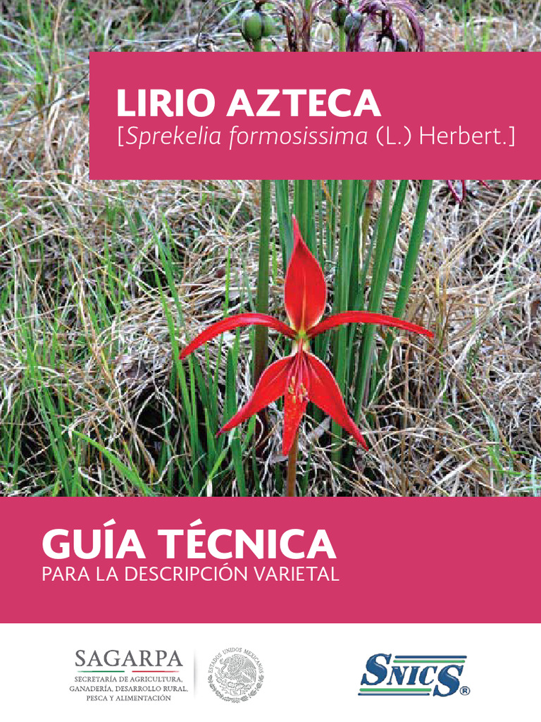 Lirio Azteca. | PDF | Flores | Plantas