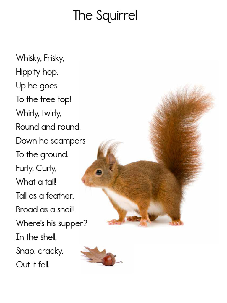 Poem The Squirrel | PDF