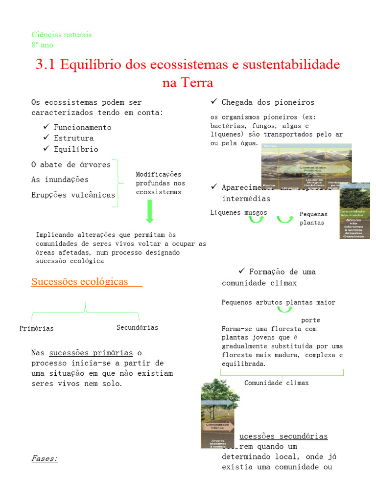 Resumos Ciências Naturais 8º Ano | PDF | Ecossistema | Plantas