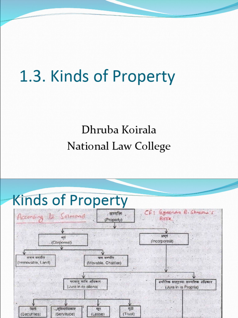 Kinds of Property | PDF
