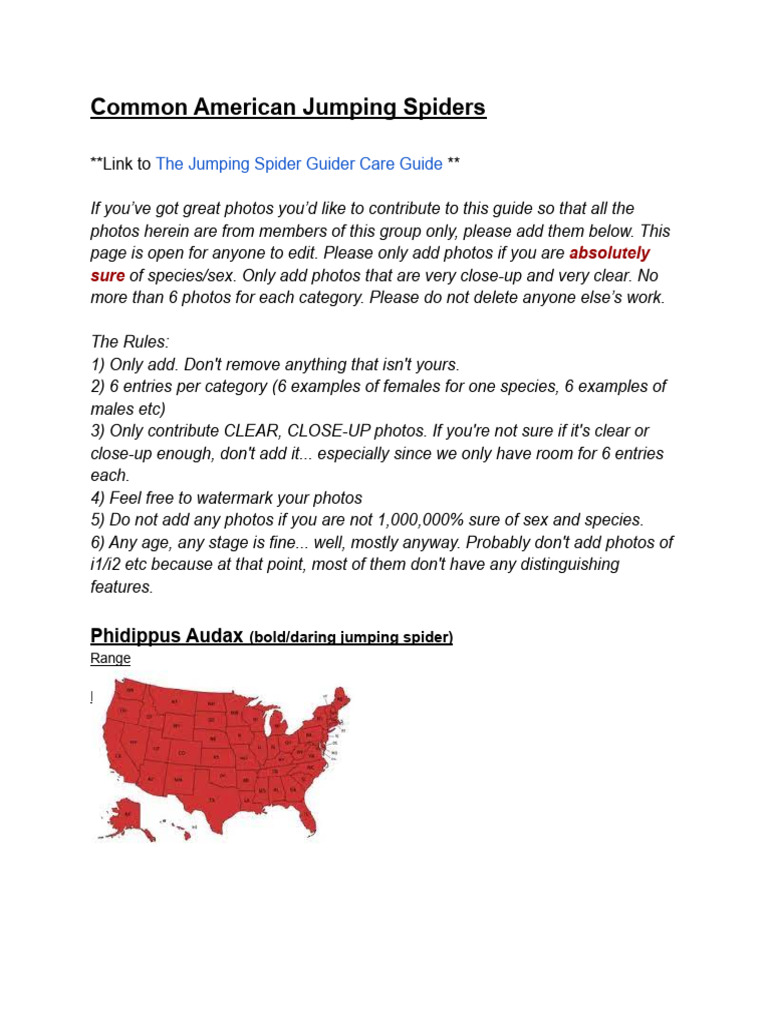 Common American Jumping Spiders | PDF | Spider | Arachnids