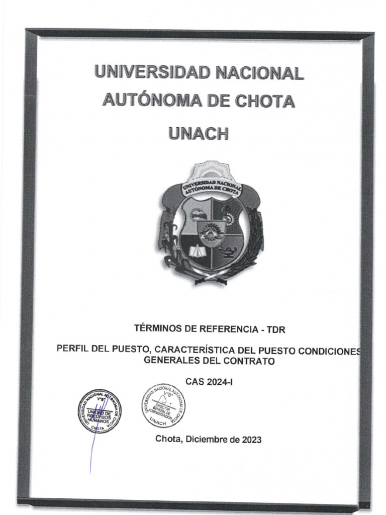 Tdr-Cas 2024-I | PDF