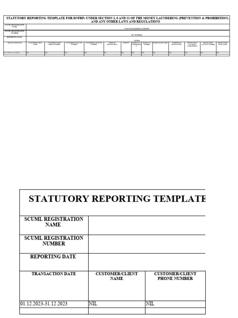 Dnfbps Reporting Template Dec 2023 | Download Free PDF | Banks | Banking