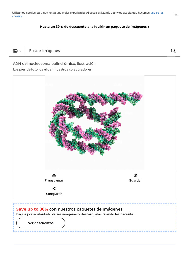 ADN Del Nucleosoma Palindrómico, Ilustración Fotografía de Stock ...