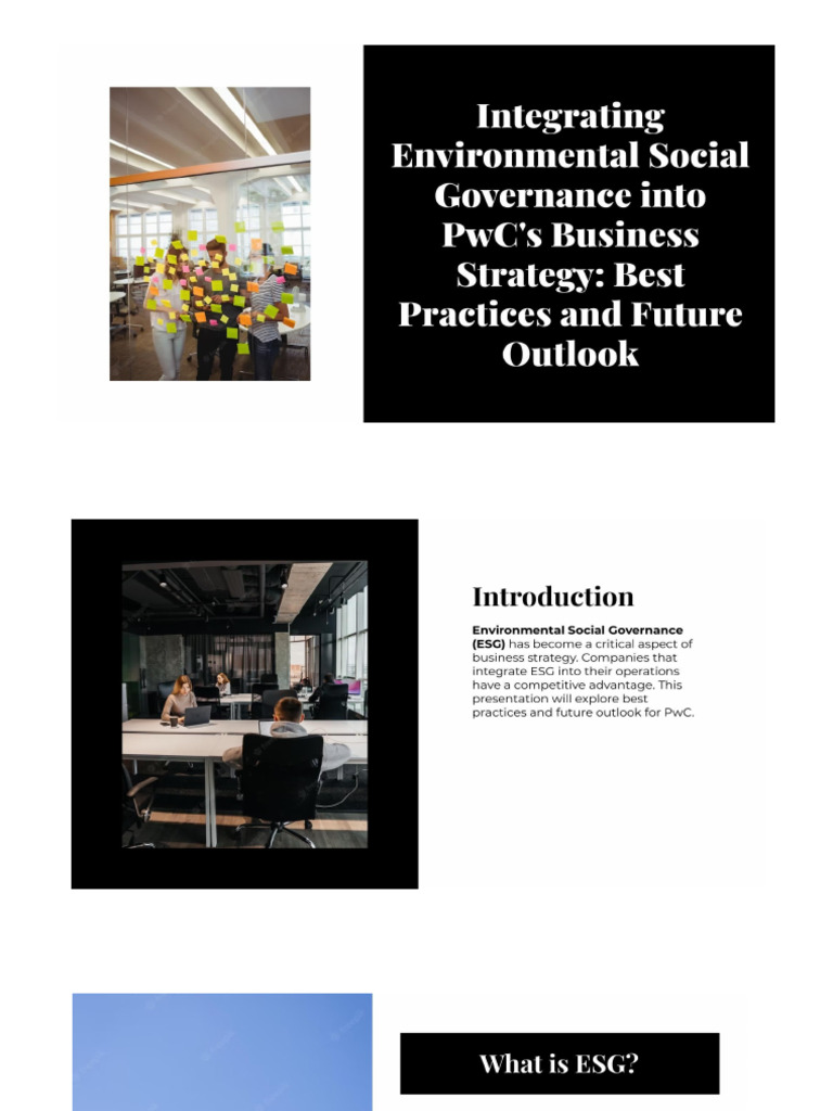 Esg of PWC | PDF