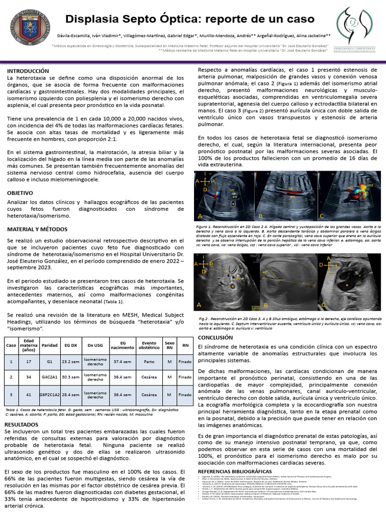 CARTEL | PDF | Feto | Corazón