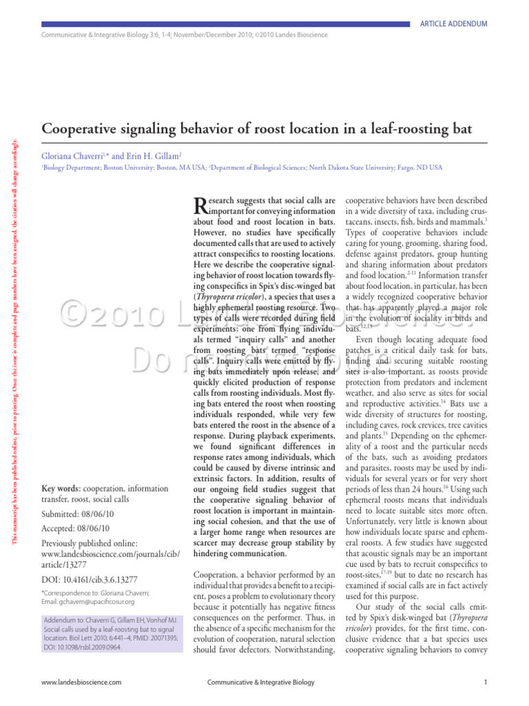 Bat Social Calls and Roosting Behavior | PDF | Bat | Birds