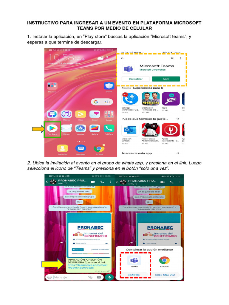 Instructivo Tems para Celular | PDF