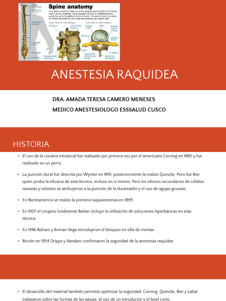 Anestesia Raquidea y Anestesia | PDF | Fluido cerebroespinal | Médula ...