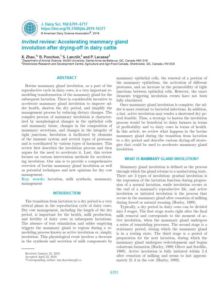Zhao2019 - Invited Review Accelerating Mammary Gland Involution | PDF ...